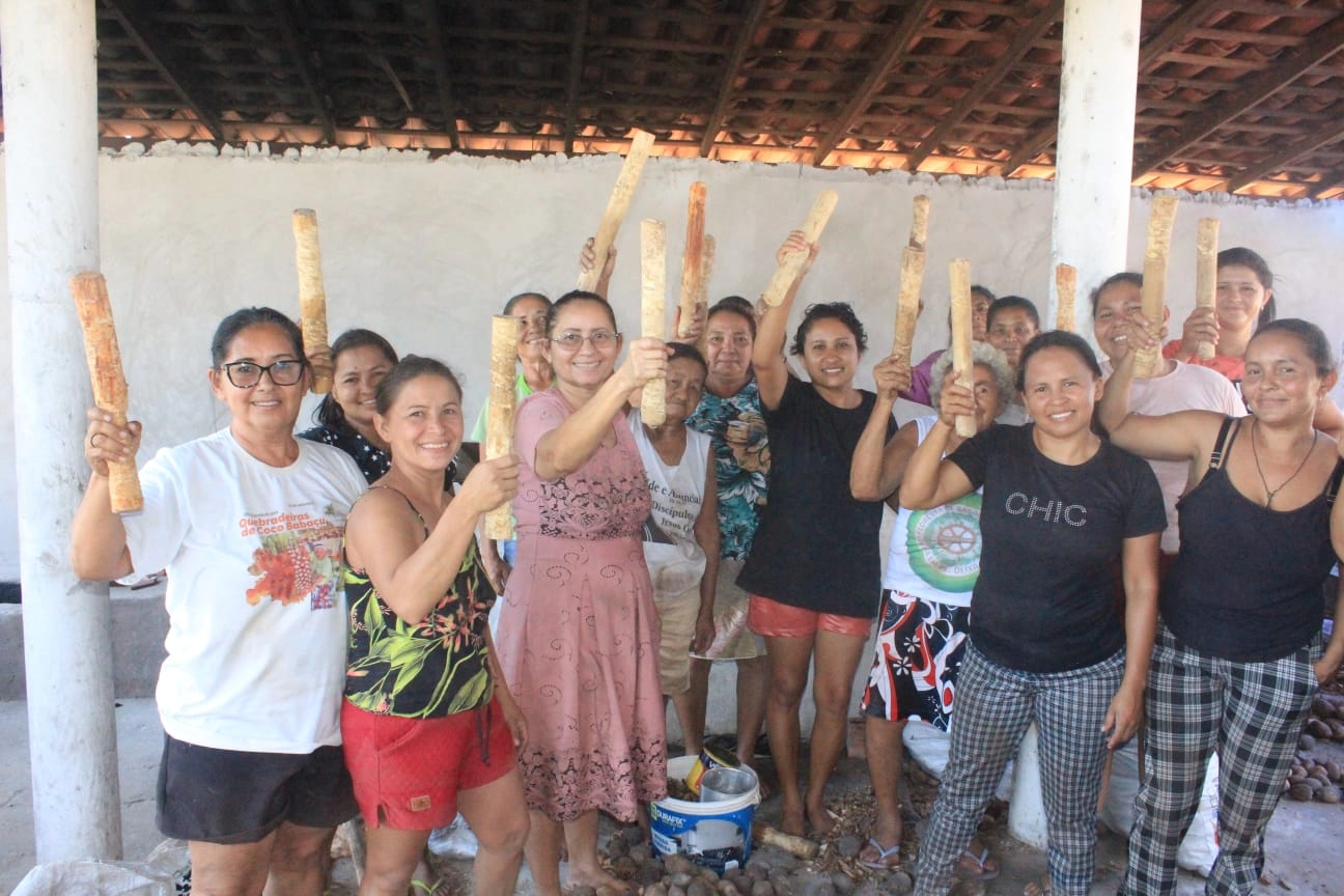 In Piauí, coconut breakers show that defending the babassu is a fight ...